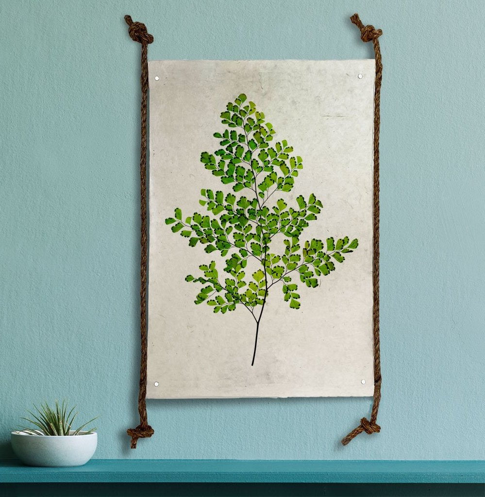 Ferns – printstockist.com