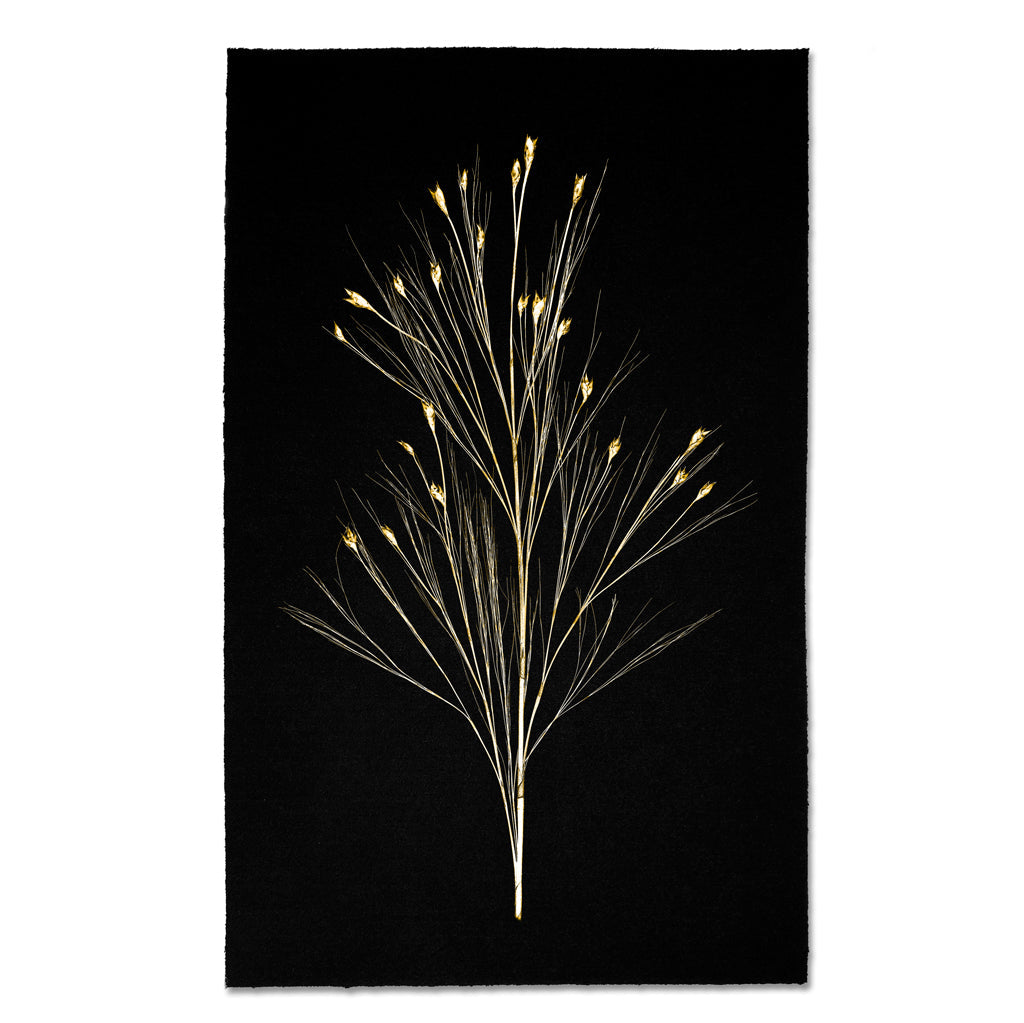 Bell Reed Form – printstockist.com