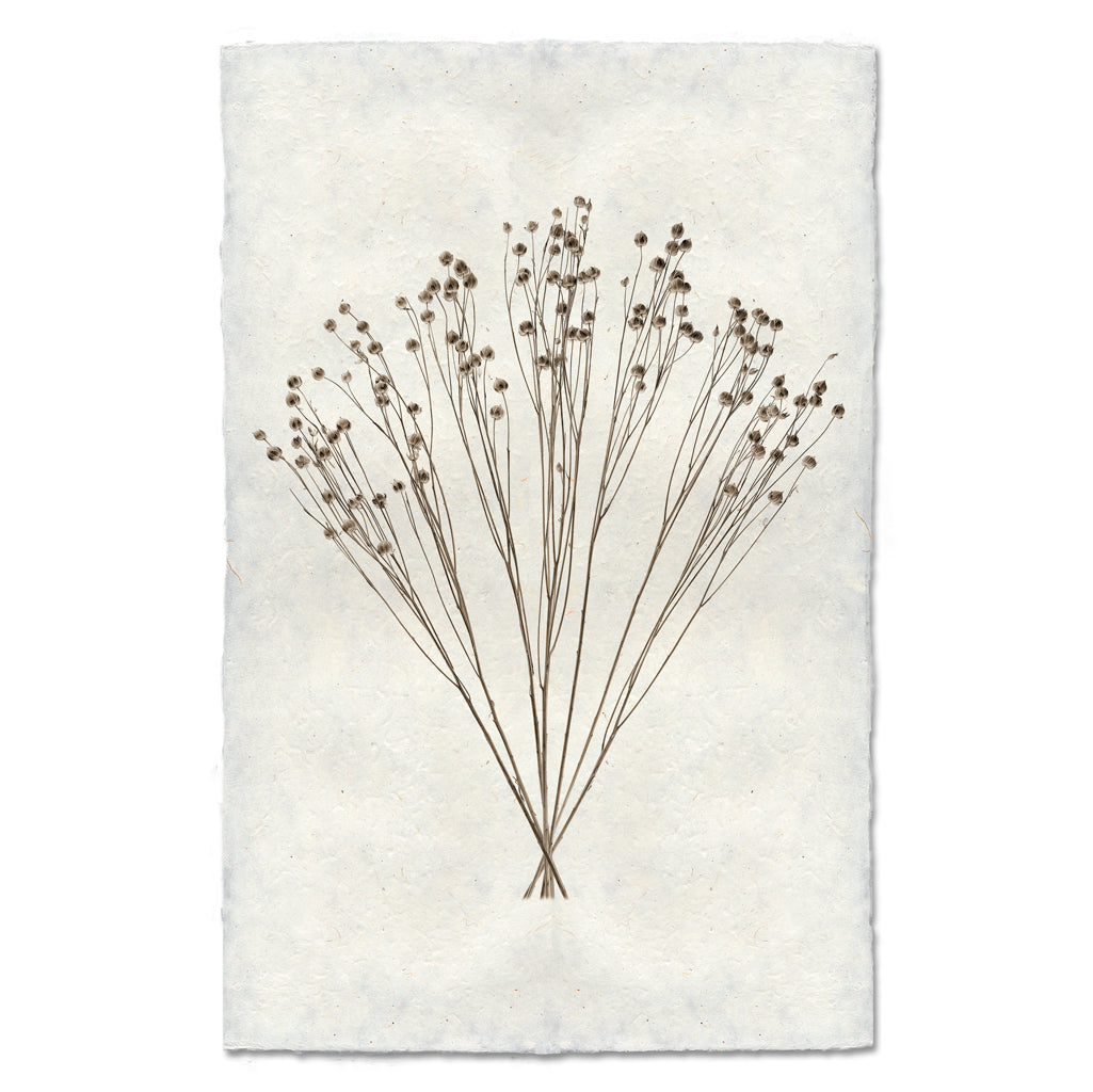 Flax – printstockist.com