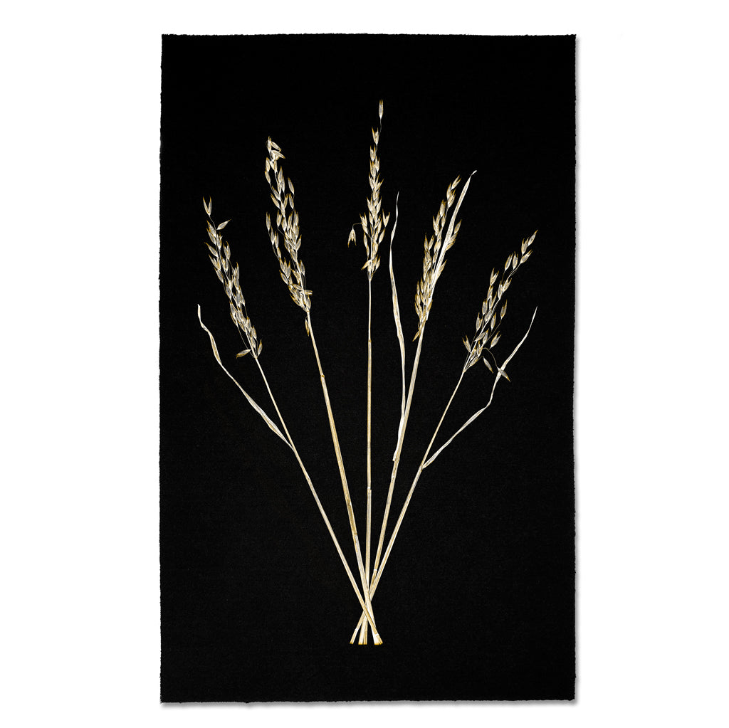 Kozo Noire Natural Forms – printstockist.com