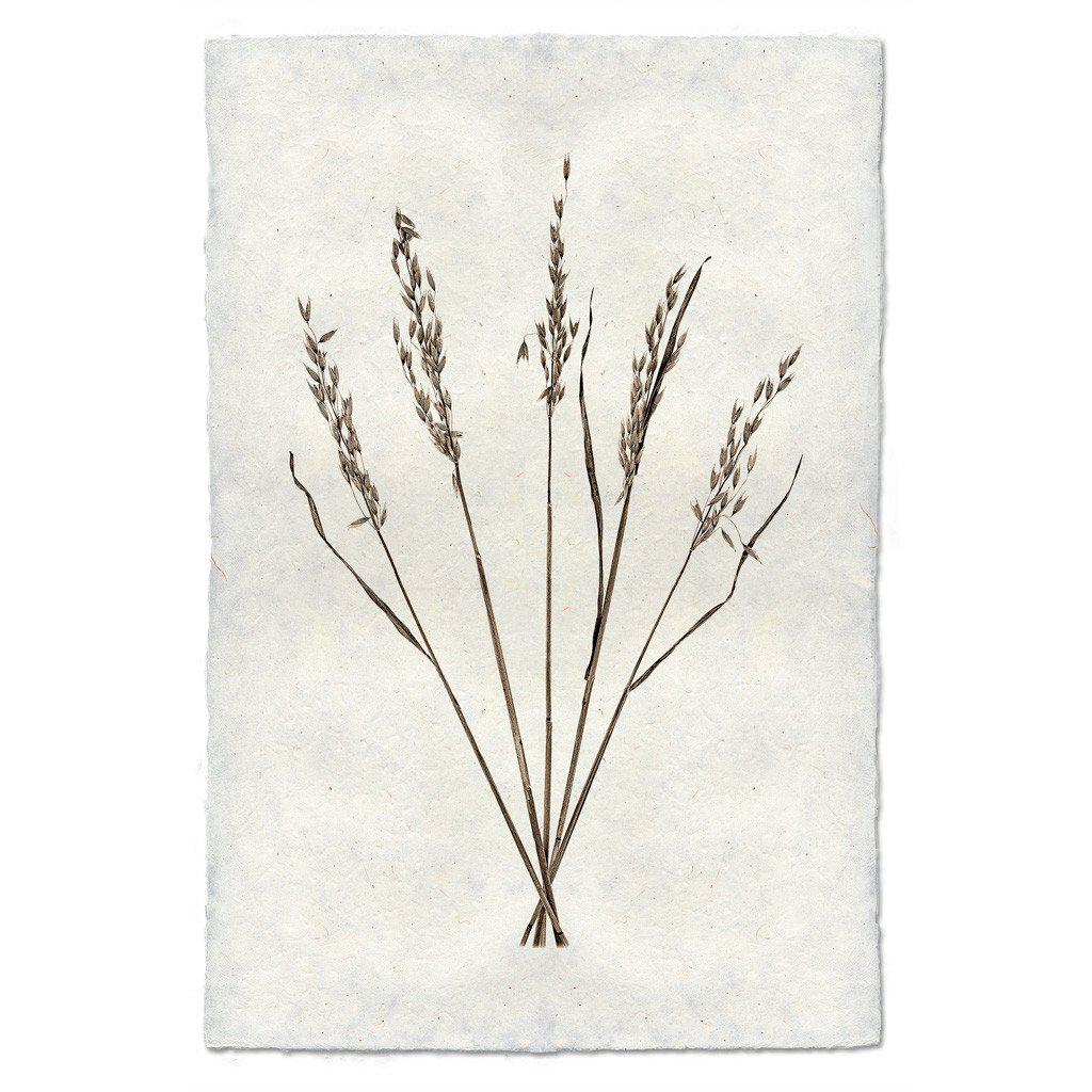 Oat Form – printstockist.com