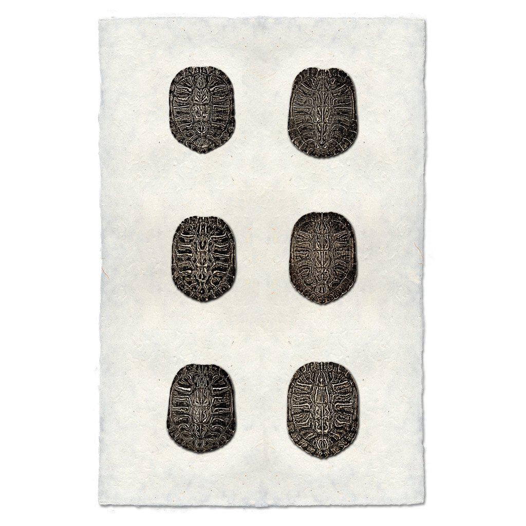 Six Shells – printstockist.com